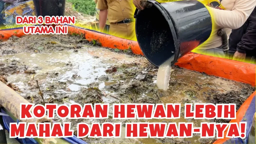 Cara Membuat Pupuk NPK Berimbang Organik untuk Tanaman Hortikultura ... Cara Membuat Pupuk NPK Berimbang Organik untuk Tanaman Hortikultura ...