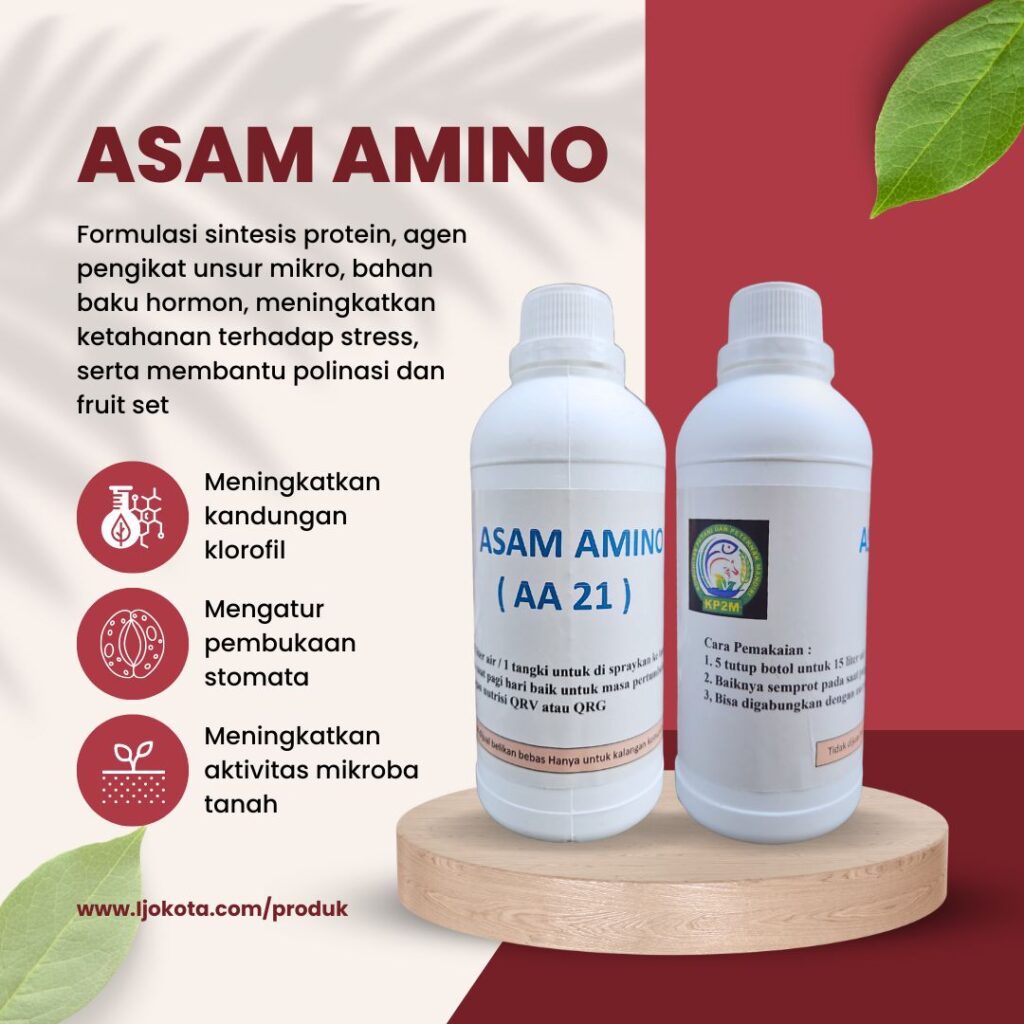 Asam Amino - Ijokota