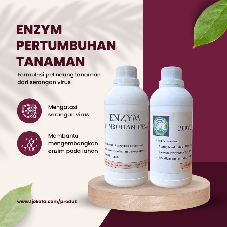 Enzim Pertumbuhan Tanaman - Ijokota