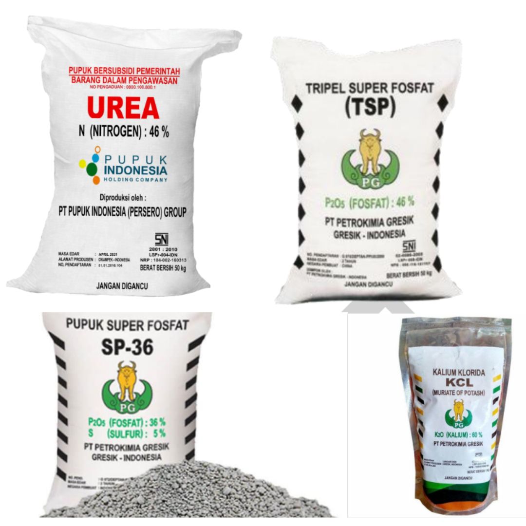Merubah Kandungan Pupuk Menjadi 1000 Kali Lipat - Ijokota