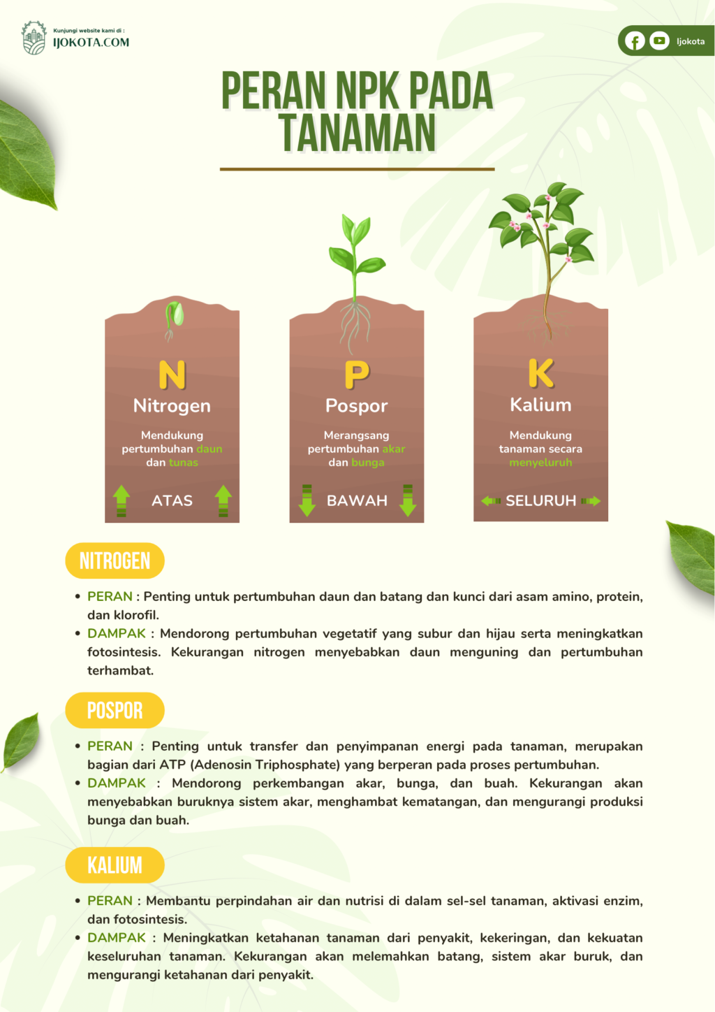 Cara Membuat POC (Pupuk Organik Cair) NPK - Ijokota